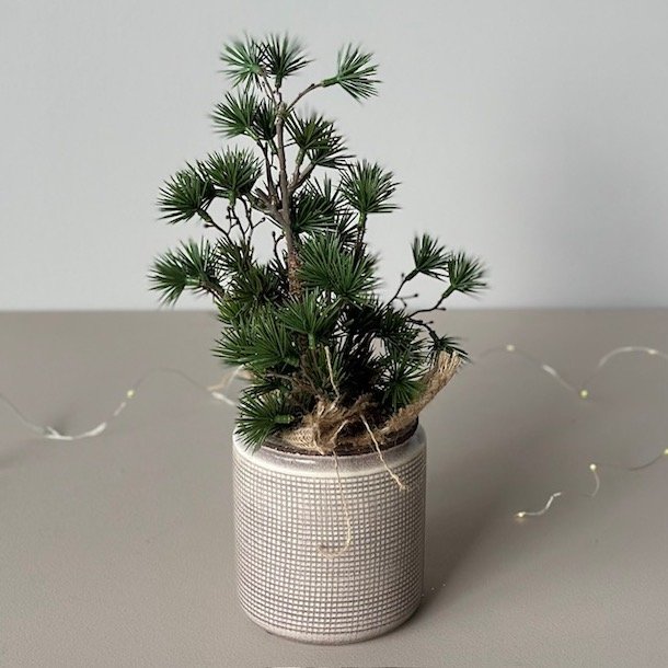 Grantræ med bast og potte - JUL 40-50% - COW CONCEPT